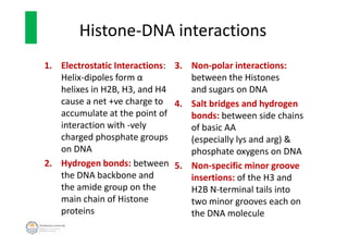 Genome organisation | PDF