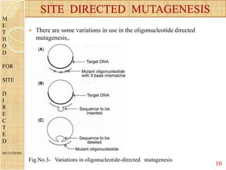 Site directed mutagenesis | PPTX