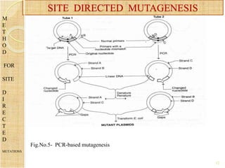 Site directed mutagenesis | PPTX