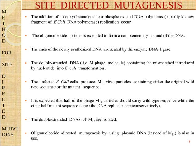 Site directed mutagenesis | PPTX | Chemistry | Science