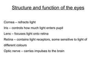 2 sense organ and their function the eyes | PPT