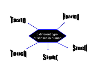 2 sense organ and their function the eyes | PPT