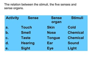 2 sense organ and their function the eyes | PPT | Free Download