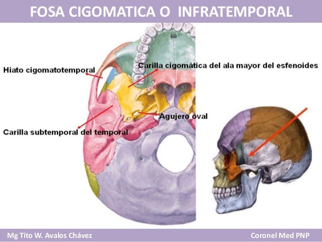 2° sesión regiones comunes