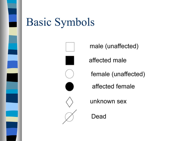Sex Influenced Traits Ppt