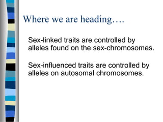 Sex influenced Traits | PPT