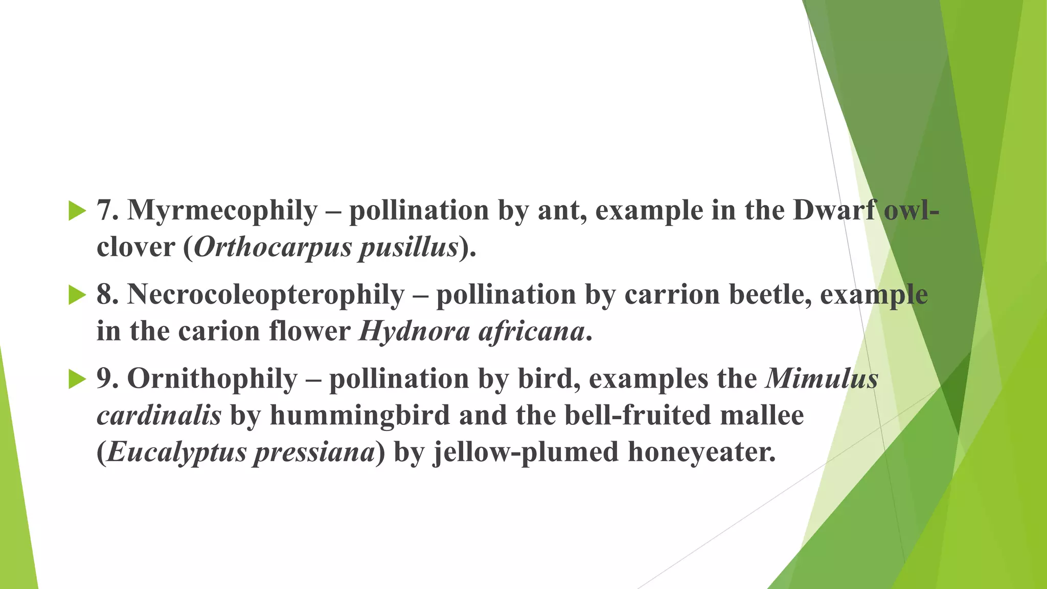 2 sexual reproduction in flowering plants | PPTX