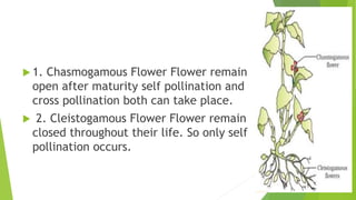 2 sexual reproduction in flowering plants | PPTX