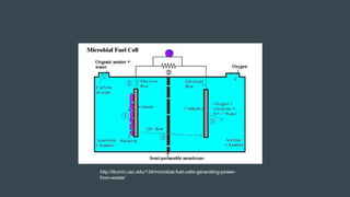 Microbial Fuel Cell in Partitioned Aquaculture System | PPTX