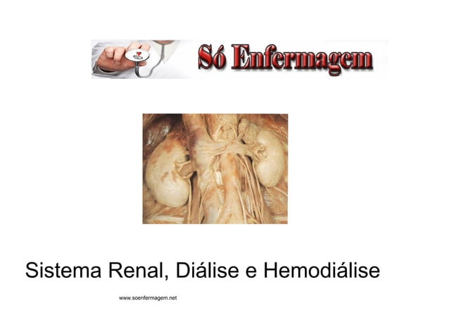 (2) sistema renal, dialise e hemodialise | PPT
