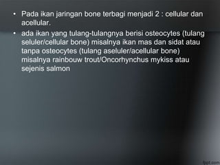 2_sistem integumen dan skeletal.ppt