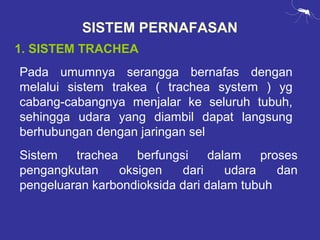 2 sistem pernafasan2 | PPT