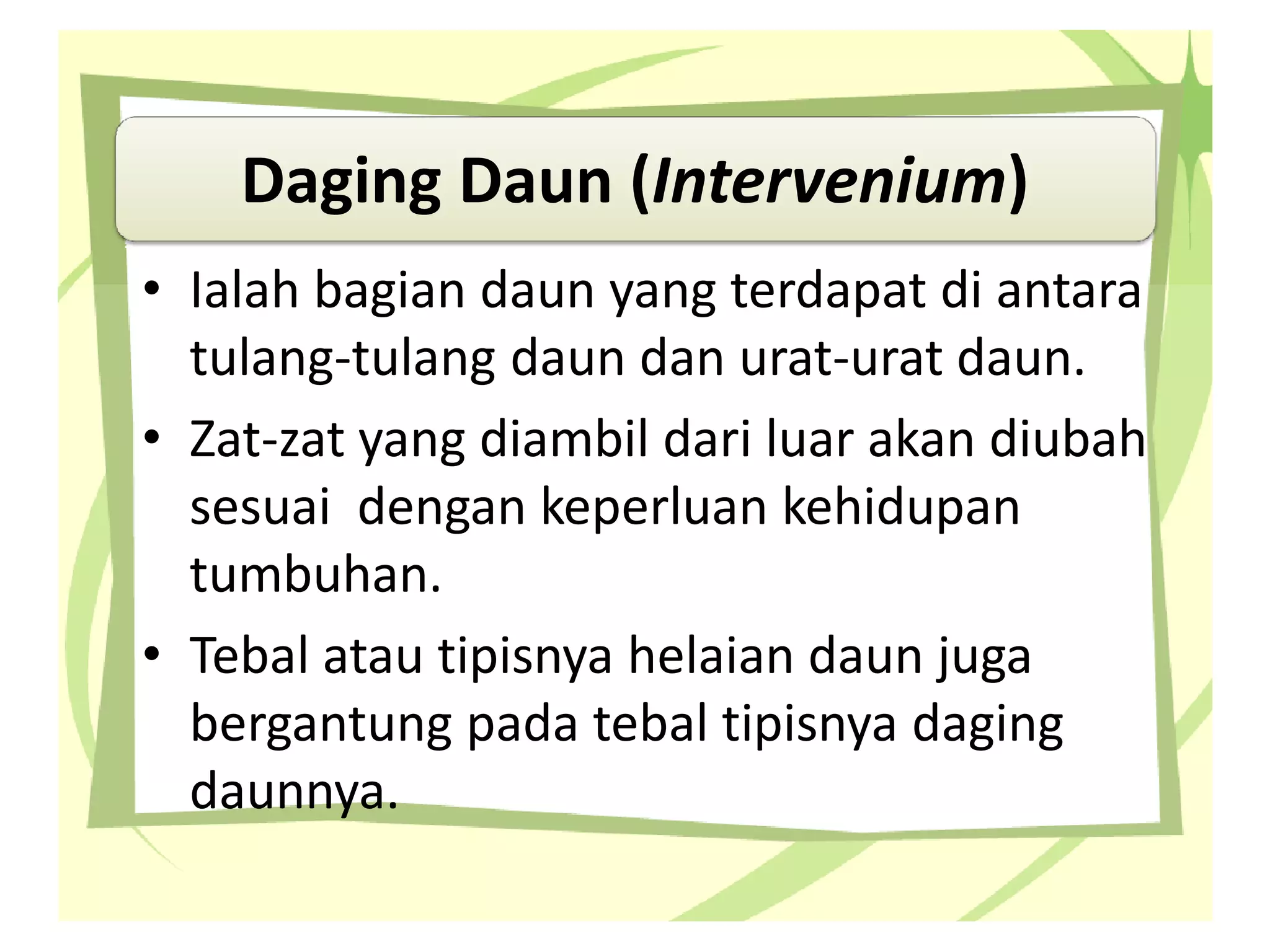 PPT Morfologi Tumbuhan - Bentuk Setiap Bagian Daun | PPTX