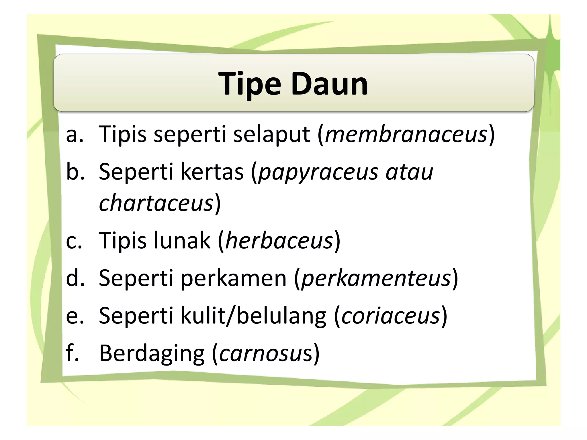 PPT Morfologi Tumbuhan - Bentuk Setiap Bagian Daun | PPTX