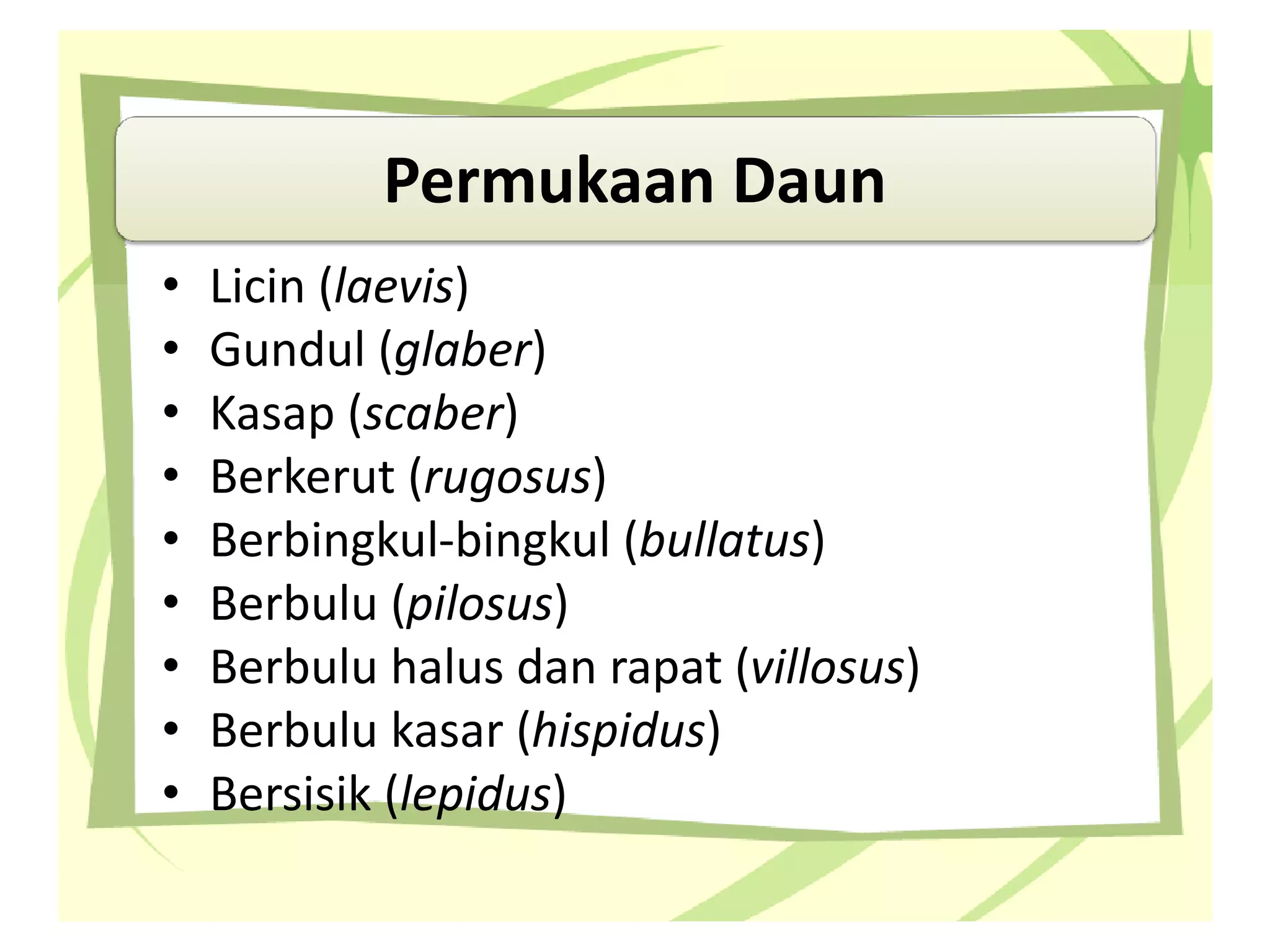 PPT Morfologi Tumbuhan - Bentuk Setiap Bagian Daun | PPTX