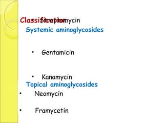 30.aminoglycosides | PPT