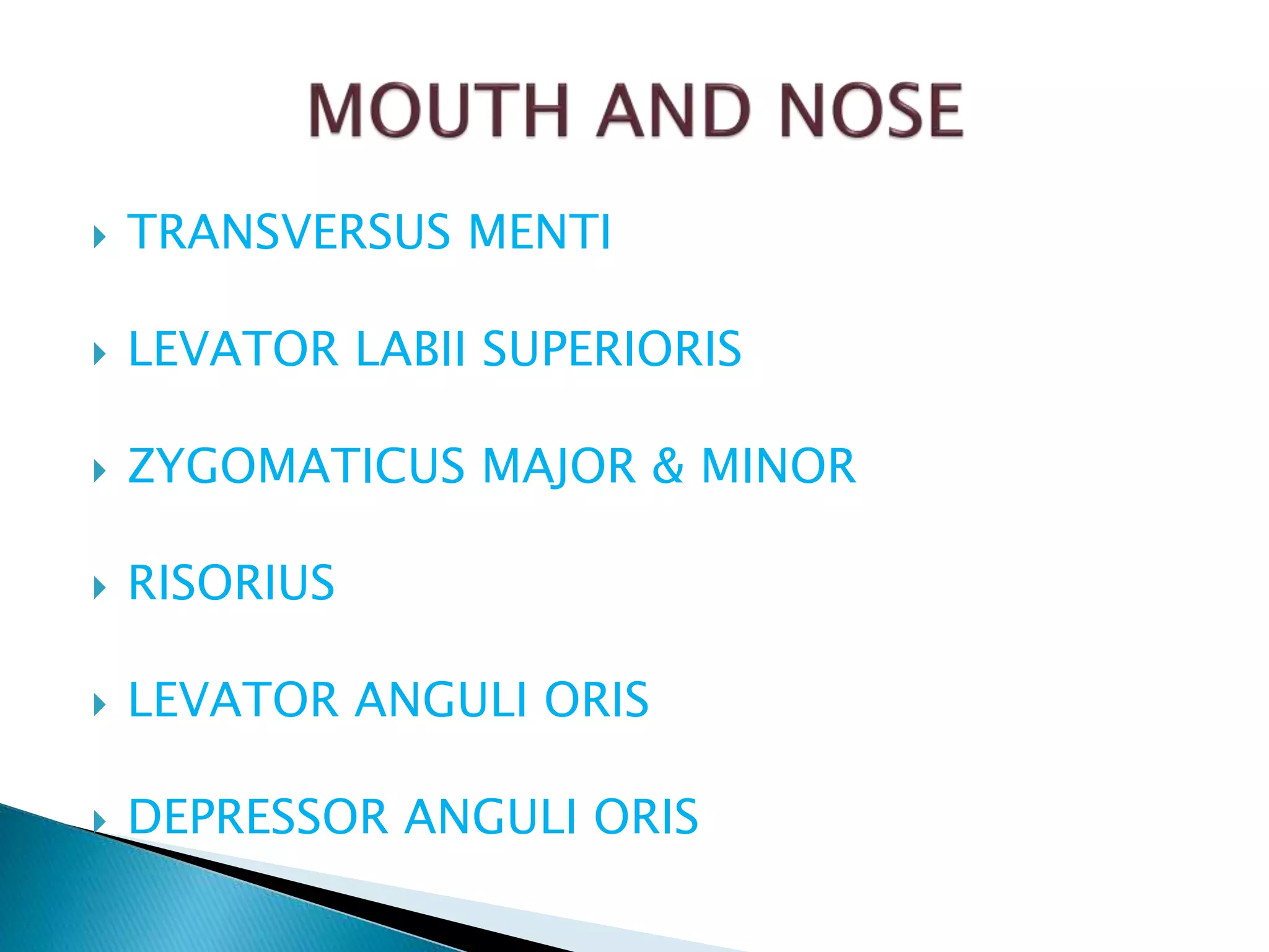 SPACES OF HEAD AND NECK | PPTX