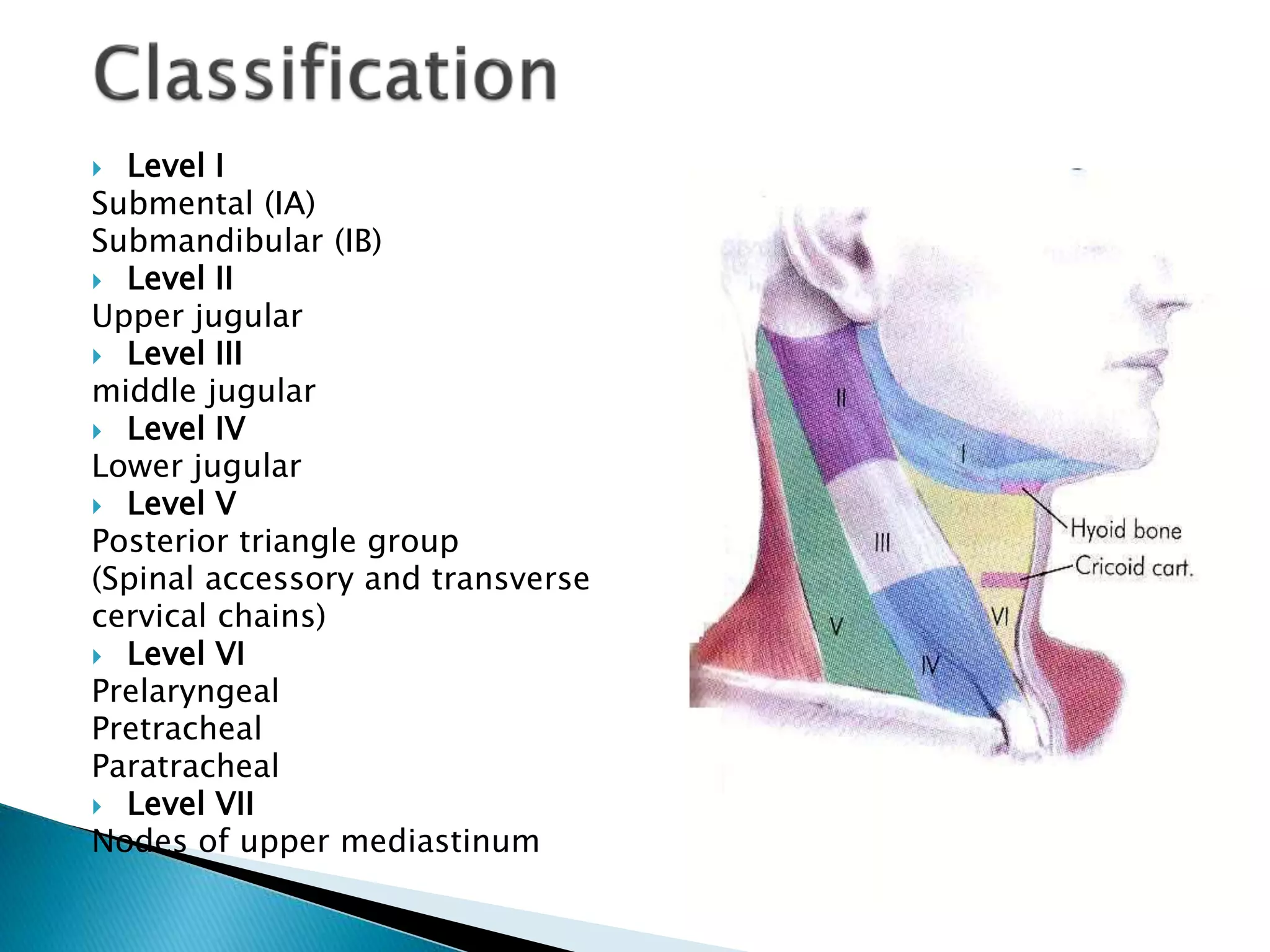 SPACES OF HEAD AND NECK | PPTX