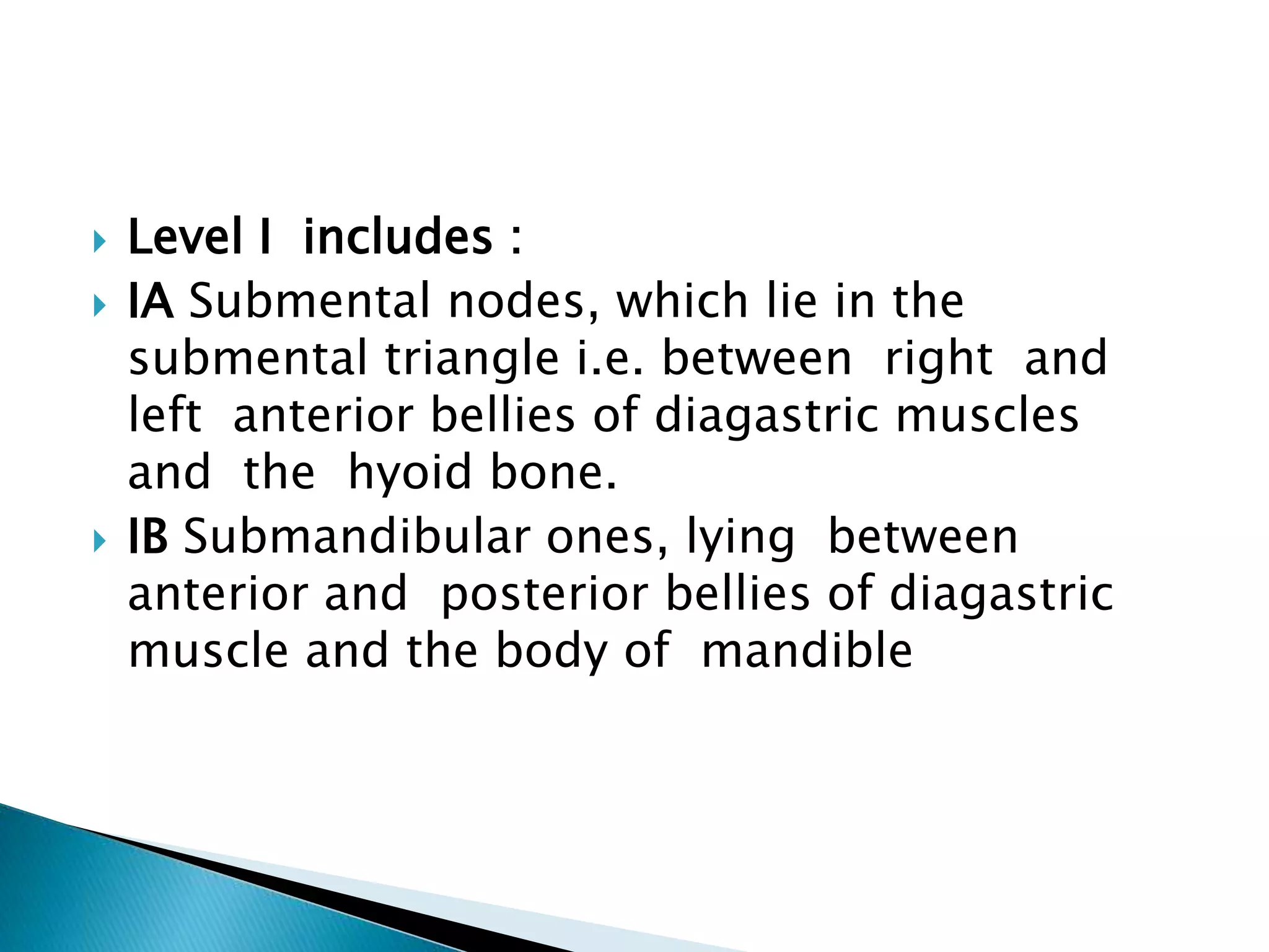SPACES OF HEAD AND NECK | PPTX