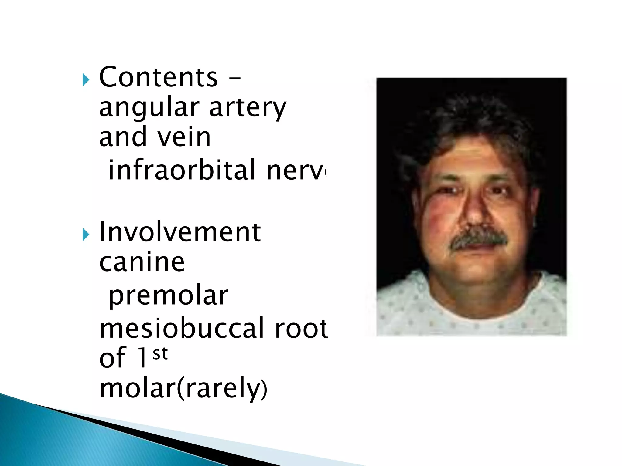 SPACES OF HEAD AND NECK | PPTX