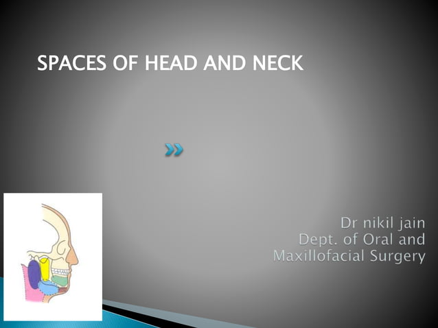 SPACES OF HEAD AND NECK | PPTX