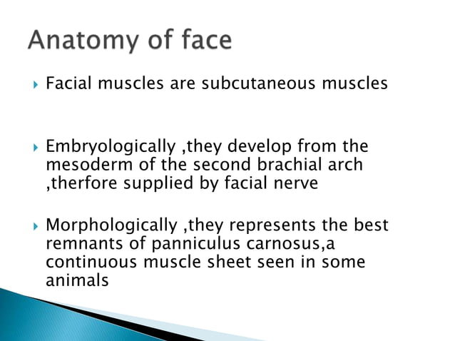 SPACES OF HEAD AND NECK | PPTX