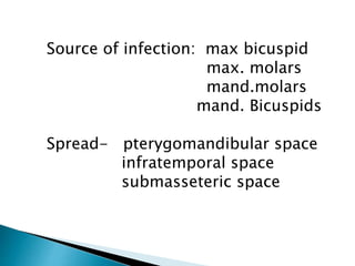 SPACES OF HEAD AND NECK | PPTX