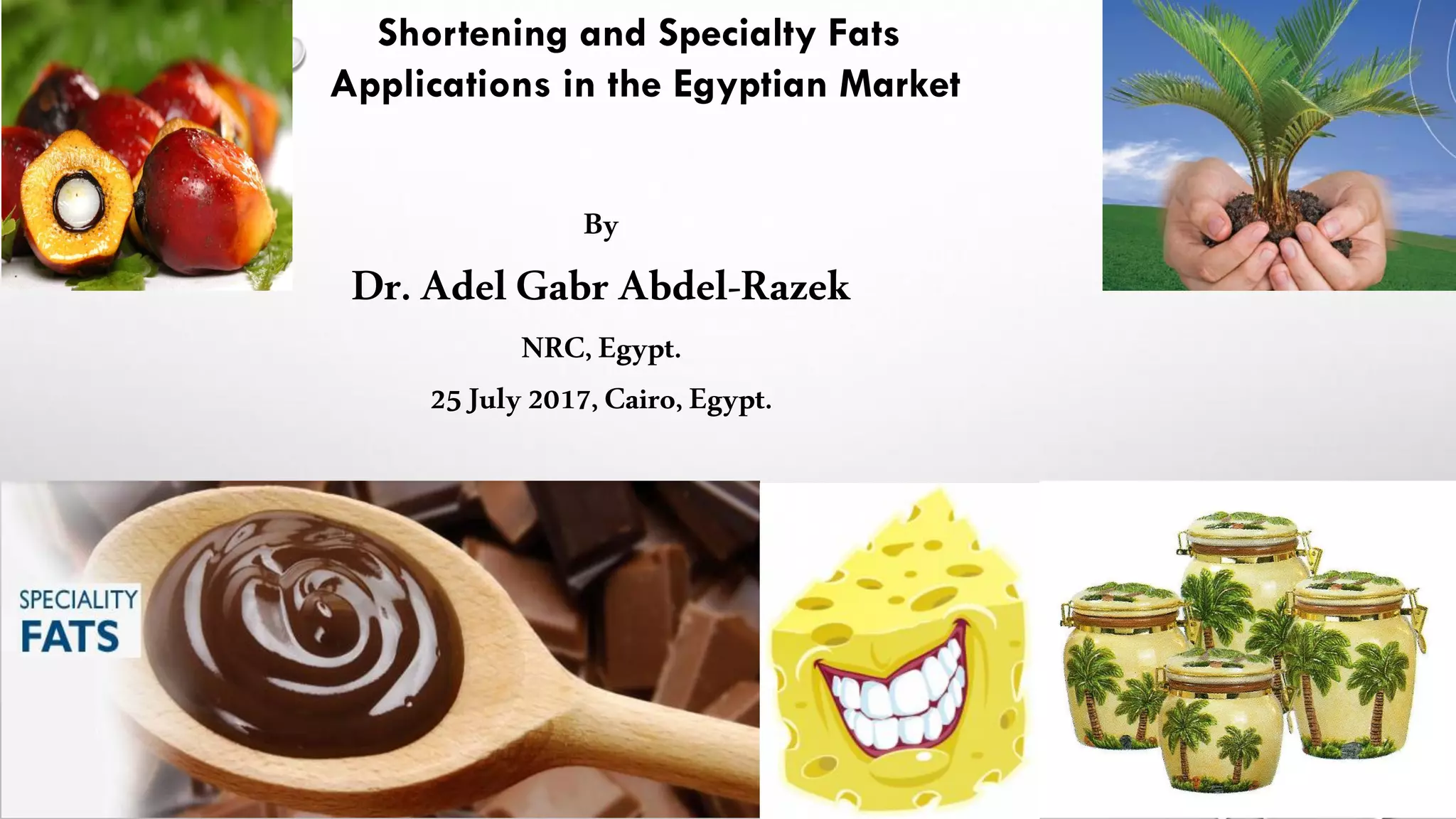 Shortening and Specialty Fats Applications in the Egyptian Market | PDF