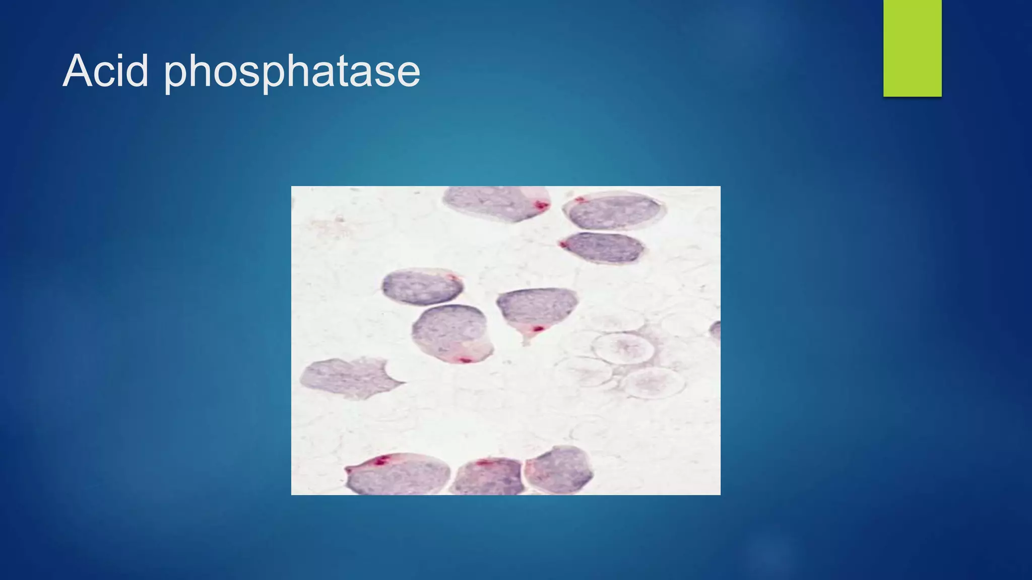 special stains in hematology and cytology | PPTX