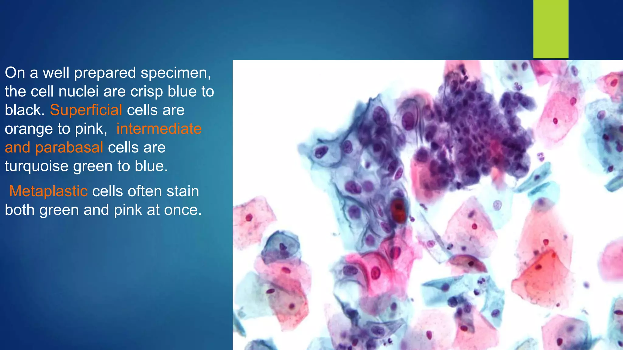 special stains in hematology and cytology | PPTX