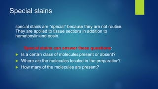 special stains in hematology and cytology | PPTX