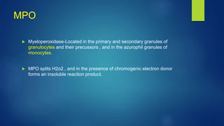 special stains in hematology and cytology | PPTX