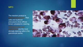 special stains in hematology and cytology | PPTX