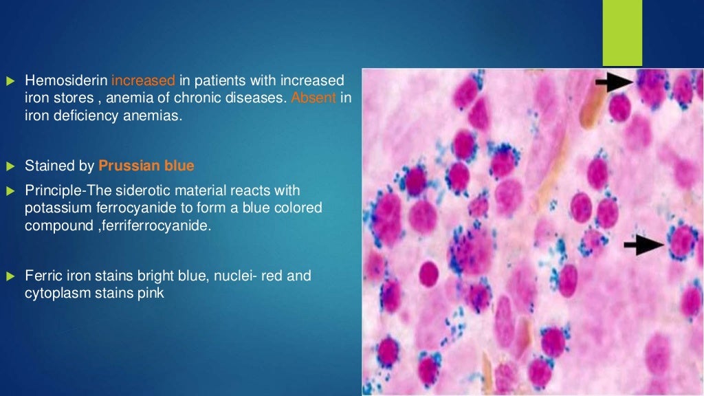 special stains in hematology and cytology