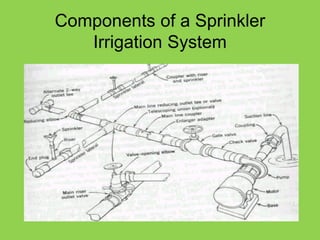 2 SPRINKLER IRRIGATION SYSTEMS.pdf
