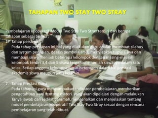 2 stay 2 stray | PDF