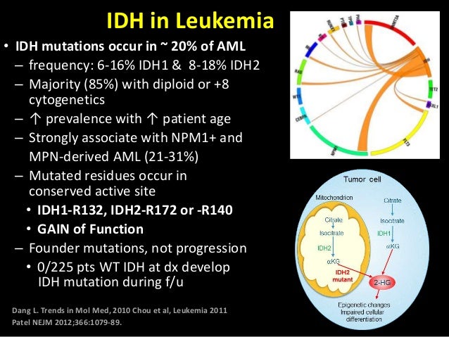 Is it time to consider targeted therapy in combination for newly diag…