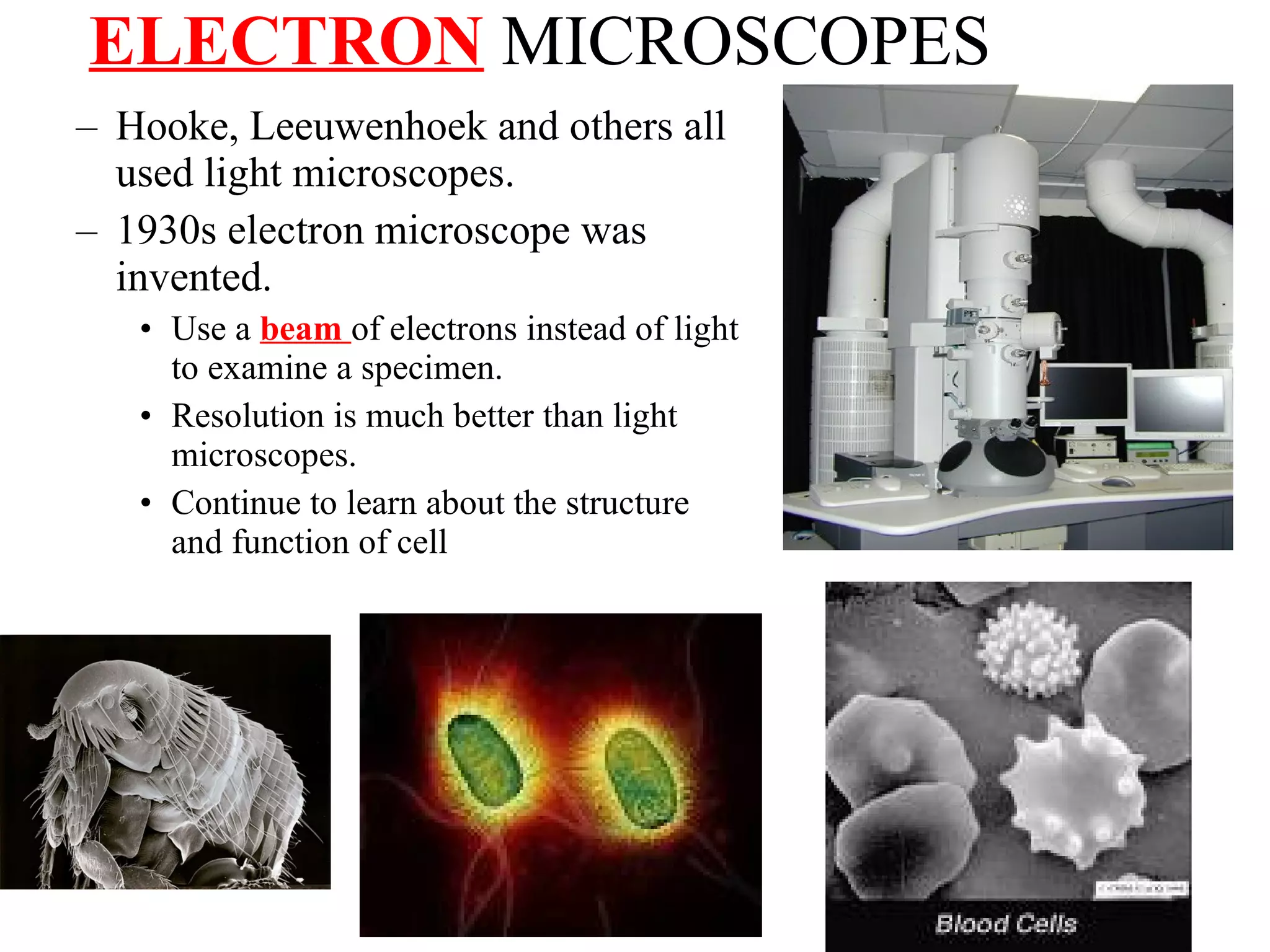 2 Structure Function Living Systems | PPT