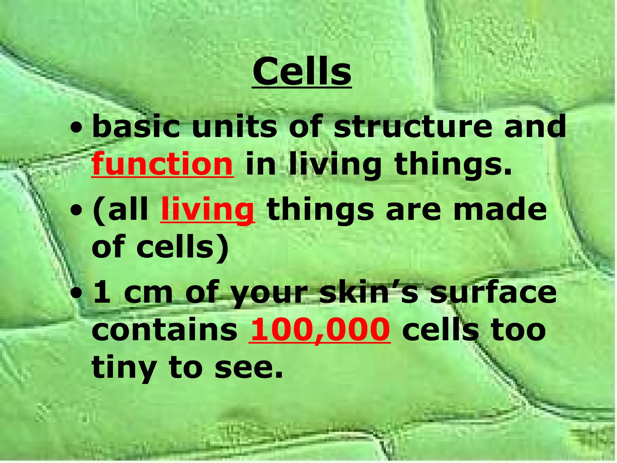 2 Structure Function Living Systems | PPT