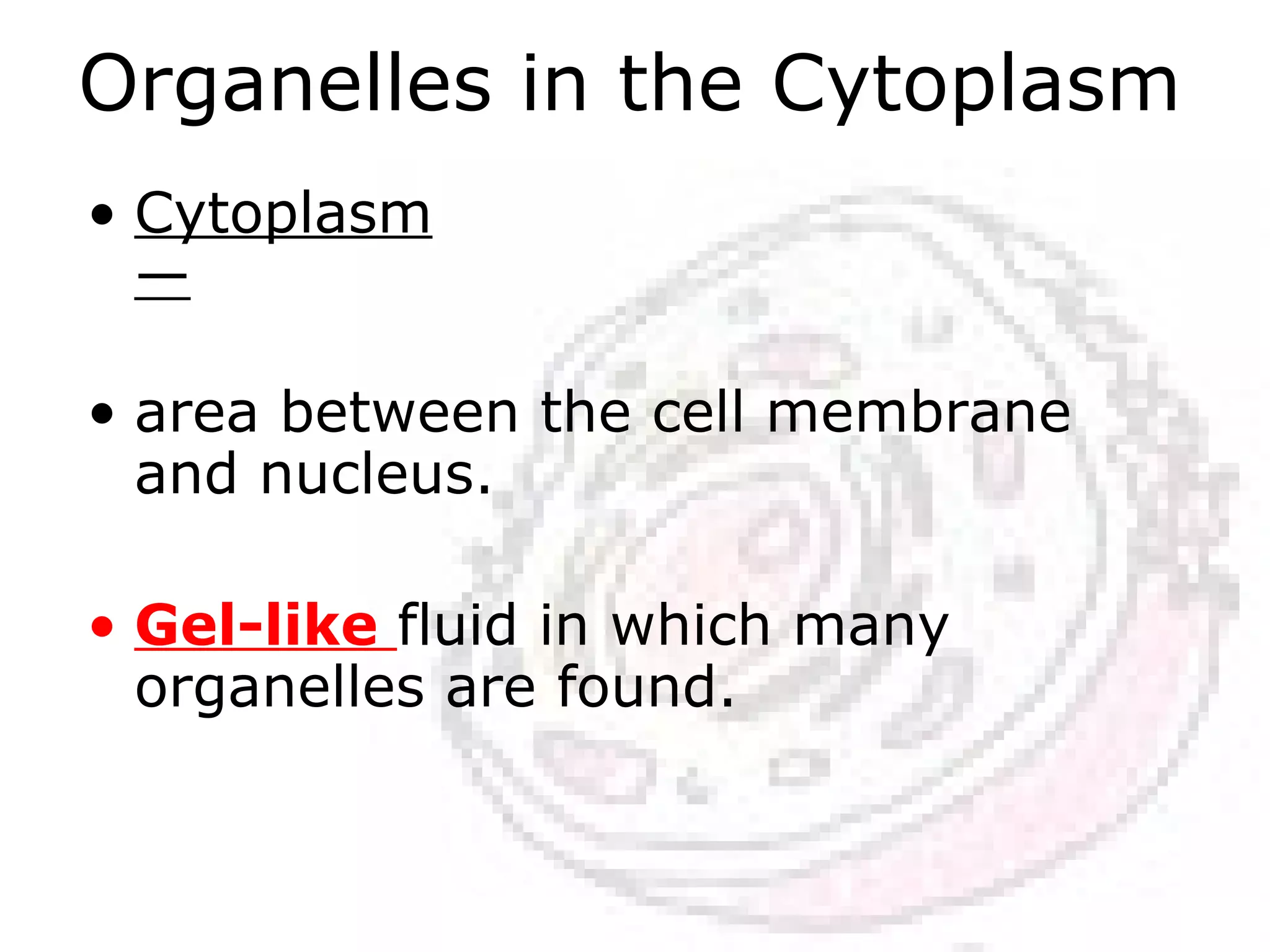 2 Structure Function Living Systems | PPT
