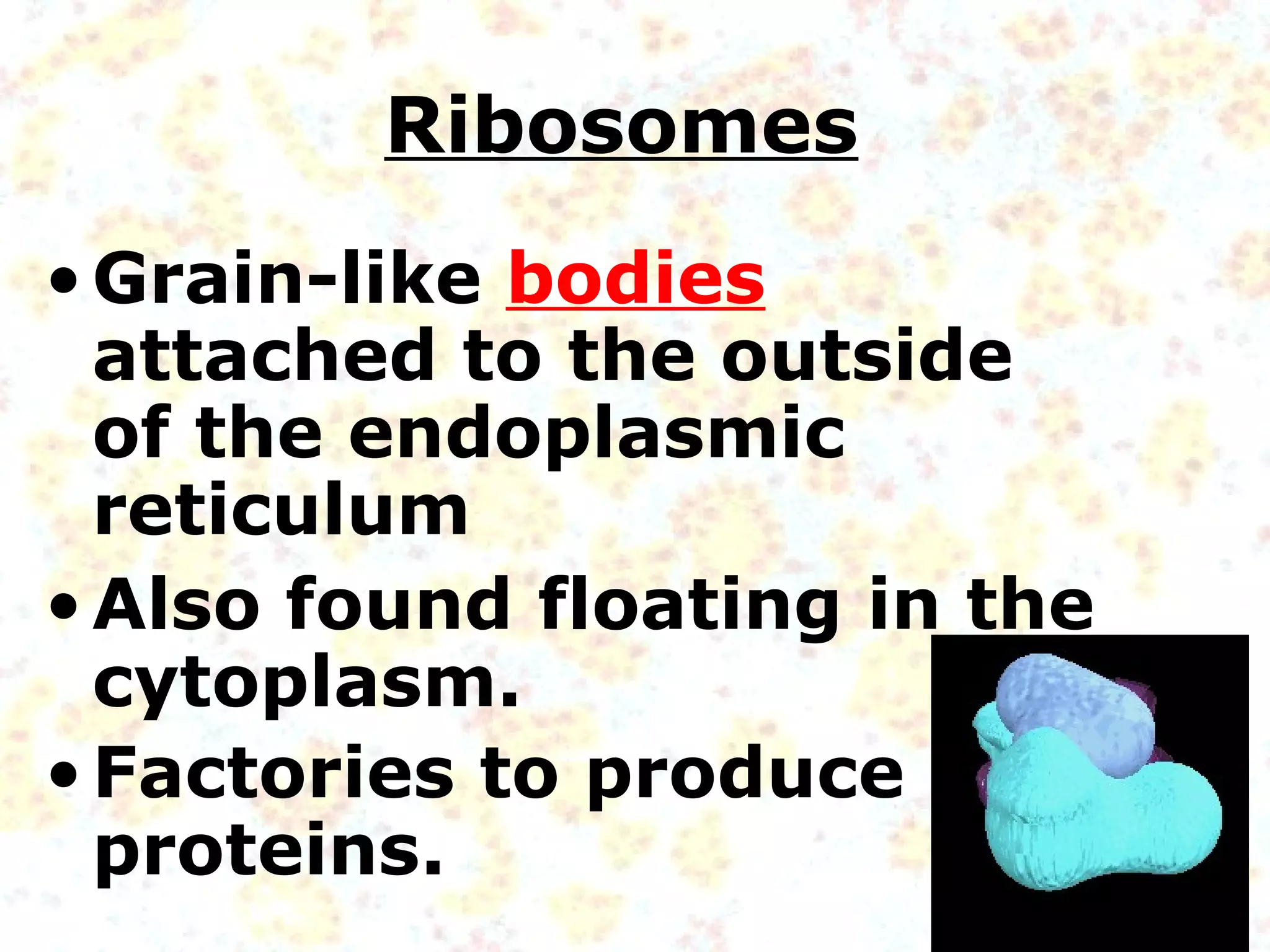 2 Structure Function Living Systems | PPT