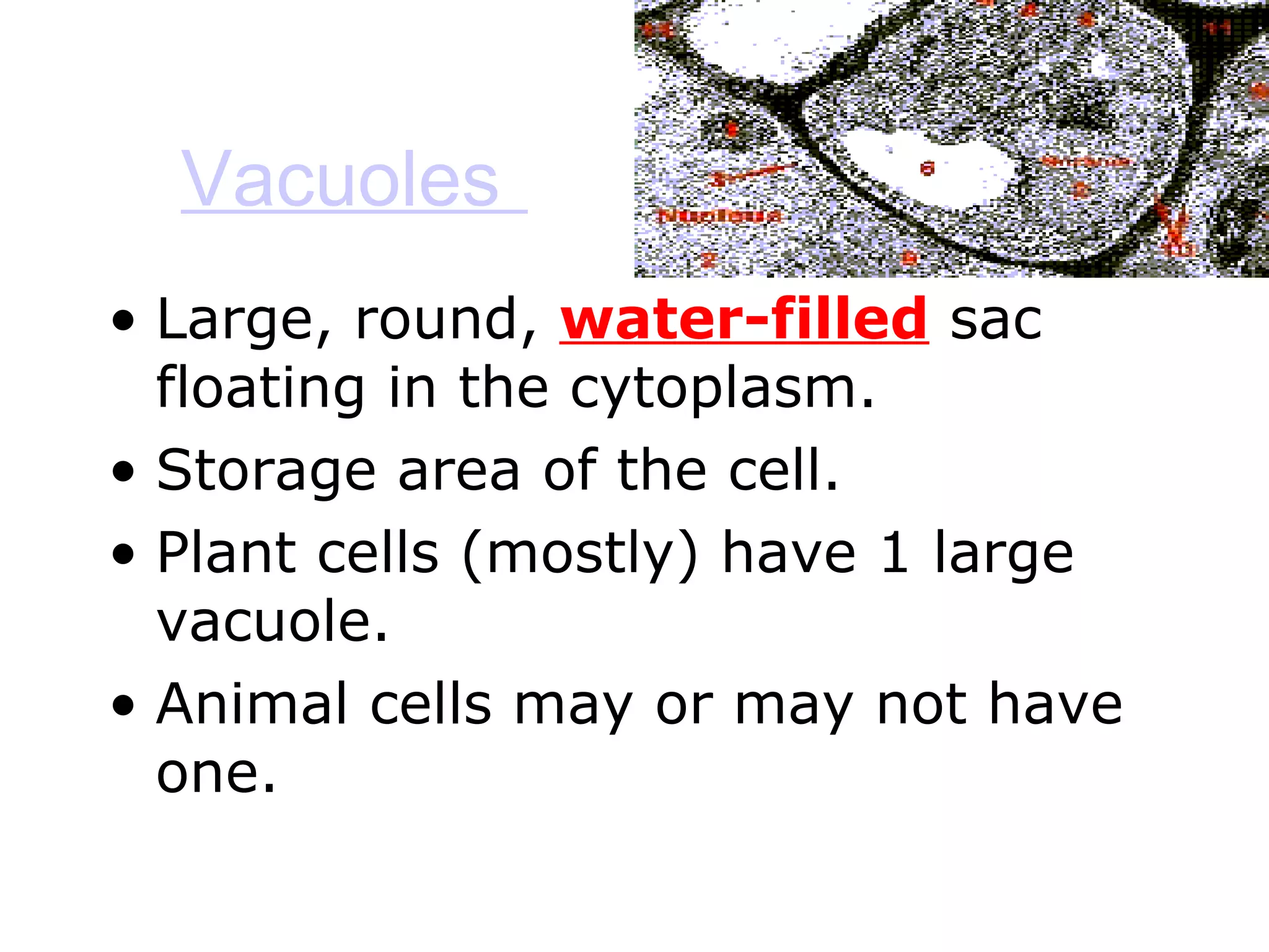 2 Structure Function Living Systems | PPT