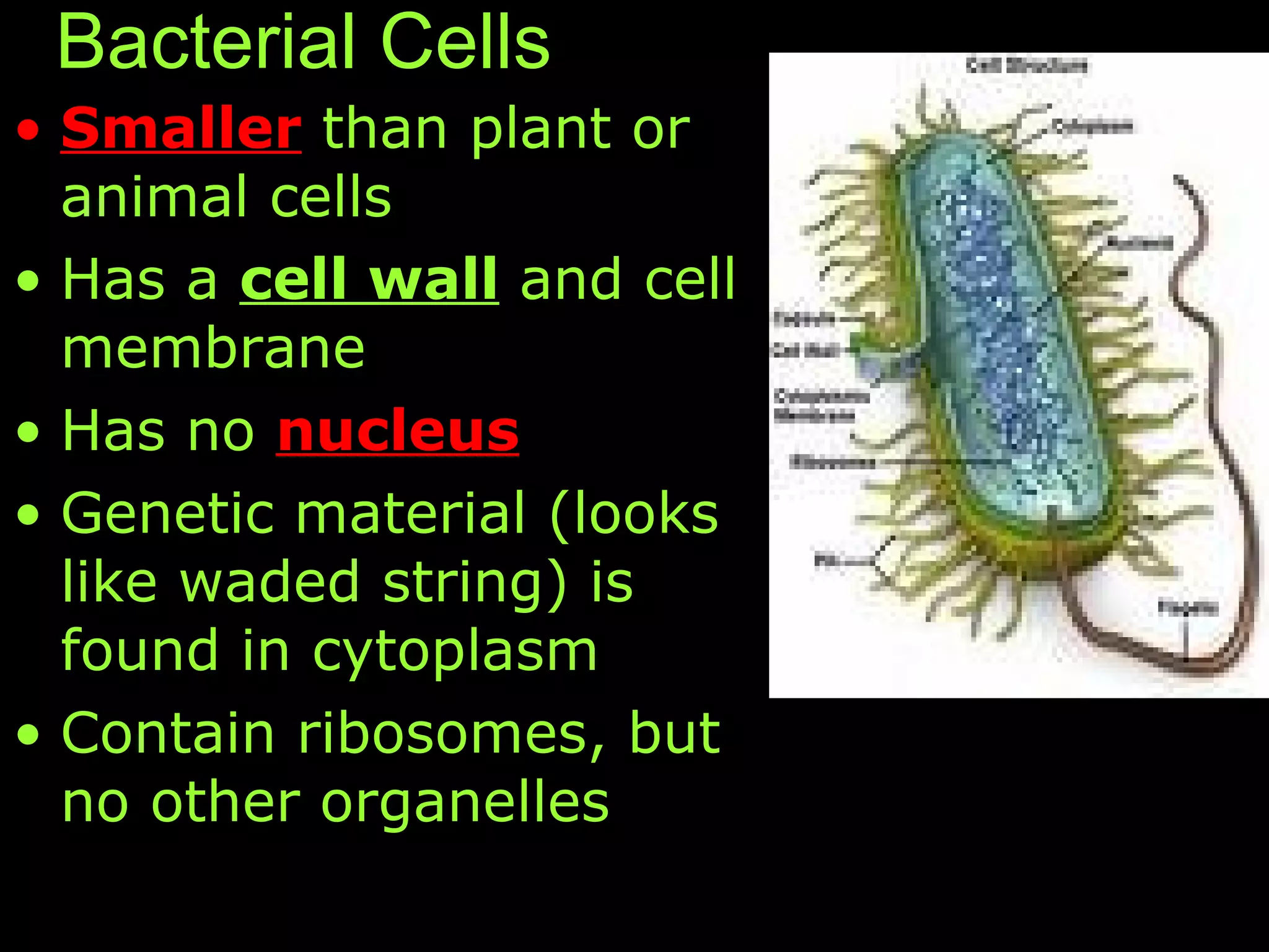 2 Structure Function Living Systems | PPT