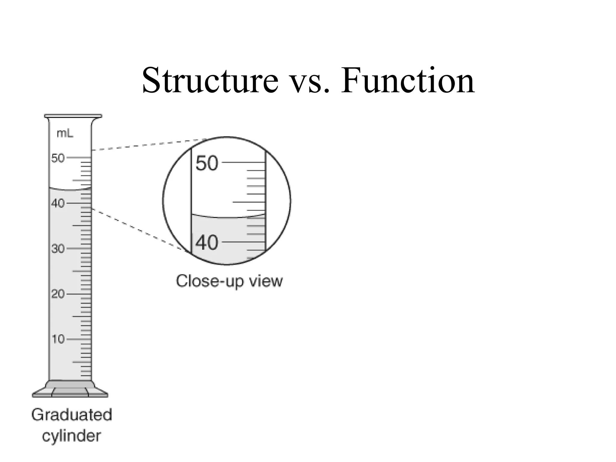 2 Structure Function Living Systems | PPT