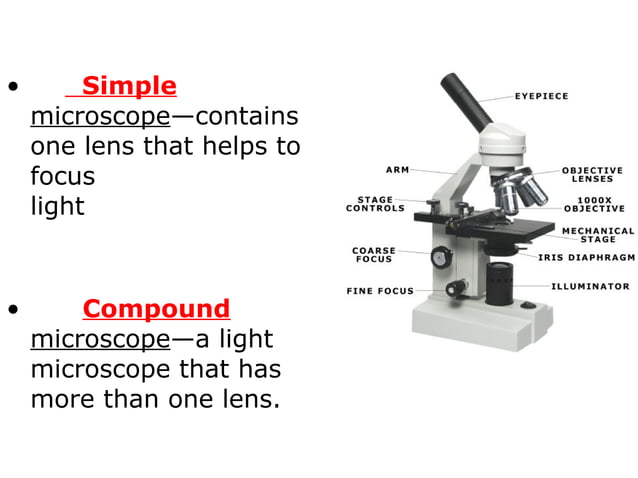 2 Structure Function Living Systems | PPT