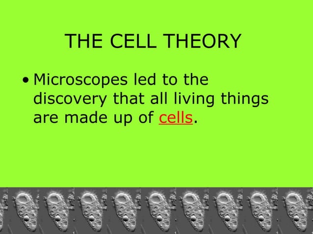 2 Structure Function Living Systems | PPT