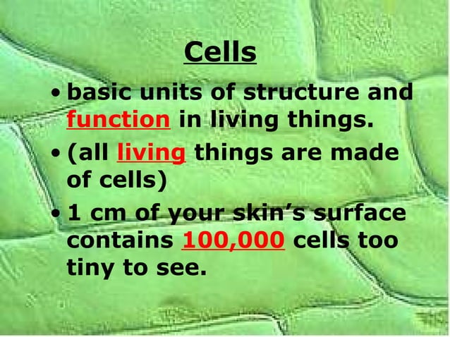 2 Structure Function Living Systems | PPT