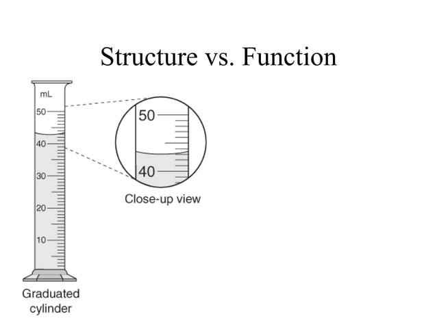 2 Structure Function Living Systems | PPT