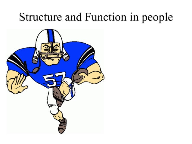 2 Structure Function Living Systems | PPT