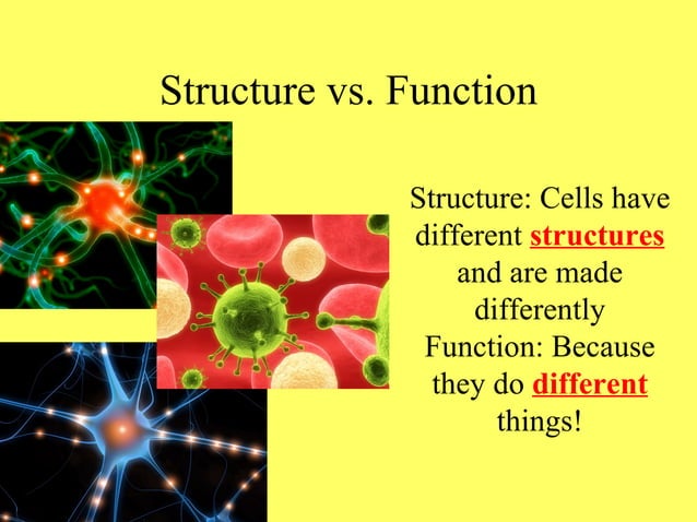 2 Structure Function Living Systems | PPT
